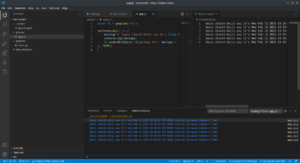 Working with VS Code Launch Configurations - Gigi Labs
