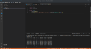 Working with VS Code Launch Configurations - Gigi Labs