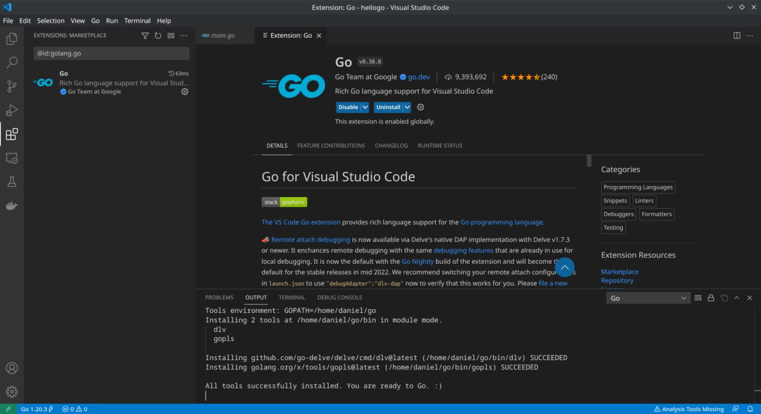 Getting Started with the Go Programming Language (GoLang) using VS Code - Gigi Labs